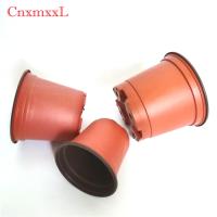 China Parlor Palm 5.5cm Opening Dia Mini Plastic Pots Indoor Plant Pots 5cm High for sale
