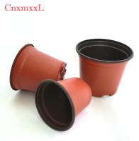 China Parlor Palm 5.5cm Opening Dia Mini Plastic Pots Indoor Plant Pots 5cm High for sale