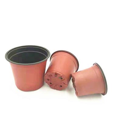 China Thermoforming plastic blister flower tree pot for planter for sale