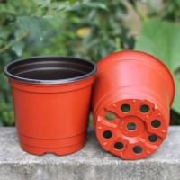 China 15cm Top Dia Disposable Plastic Flower Pots Cactus 5 Gallon Planter for sale