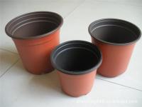 China 15cm Top Dia Disposable Plastic Flower Pots Cactus 5 Gallon Planter for sale