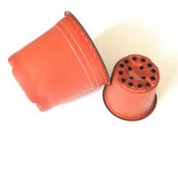 China Vacuum formed thermoforming plastic blister pot for fower and tree for sale