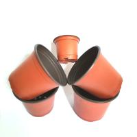 China china supplier low price wholesale bonsai pots for sale