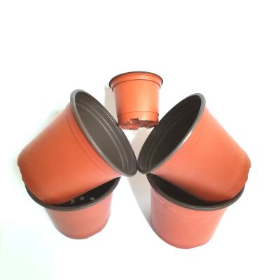 China china supplier low price wholesale bonsai pots for sale