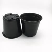 China Cylindrical 0.5L Mini White Plastic Flower Pots Easy Transplanting for sale