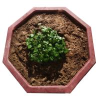 China Large Compression Process Octagon Plastic Nursery Pots Hollow Bottom for sale