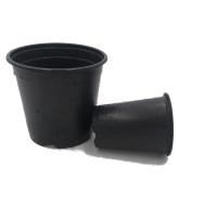 China Lightweight 1 Gallon Plastic Flower Pots 18.5cm For Leek Seedling for sale