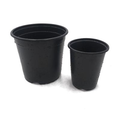 China Light And Soft Black Double Color Plastic Flower Pots Chive Shoot Seedling Nutrition Pot for sale