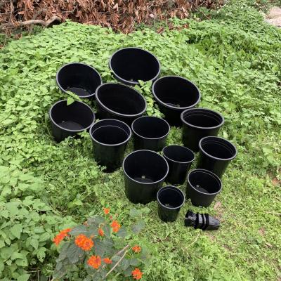 China Durable Hard Plastic 3 Gallon Black Flower Plant Pots Big Nursery Pots Of PP / HDPE for sale
