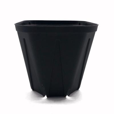 China Small Flower garden plant pot square black plastic nursery pots rectangular plastic nursery pots for Agricultural greenhouse for sale