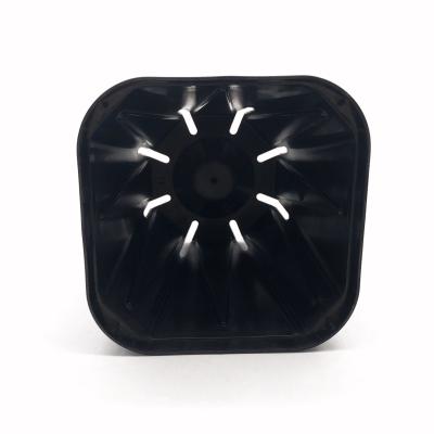China Factory price disposable square black pot small plastic flower pot nursery planting flower pot for indoor and outdoor for sale