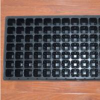 China Square seeding plastic blister agriculture tray for flower and tree for sale