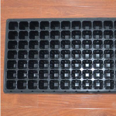 China Square seeding plastic blister agriculture tray for flower and tree for sale