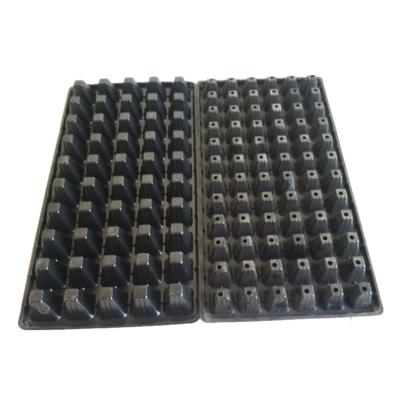 China 105 Holes Rectangular Polystyrene Seed Raising Tray Deep Cell Plug Trays 540X280mm for sale
