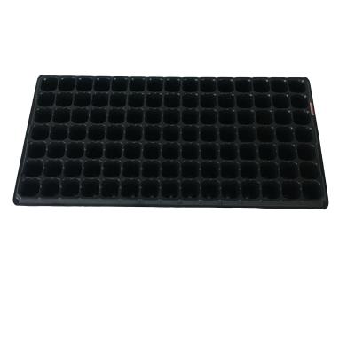 China convenient and eco-friendly plastic nursery pots trays 200 holes seedling tray Plastic modular seedling tray for wholesales for sale