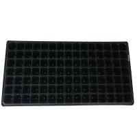 China 55mm Height Hole 1mm HIPS Plastic Seedling Tray 32cell Trees Plant Seed Tray for sale