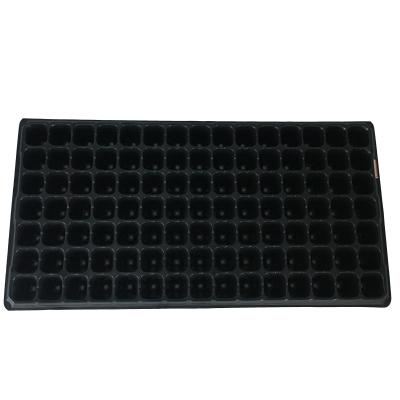 China 55mm Height Hole 1mm HIPS Plastic Seedling Tray 32cell Trees Plant Seed Tray for sale