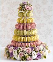 China 2017 Food grade Macaron Tower Stand Clear Macaron Stand Plastic Macaron tower new with CE certificate for sale
