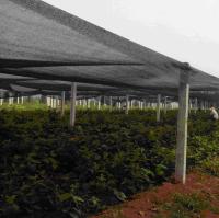 China 6m Wide Greenhouse Plastic Weed Mat 30gsm-300gsm Agricultural Shade Cloth for sale