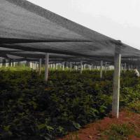 China Waterproof 30gsm 0.4m-6m Plastic Shade Netting HDPE Nursery Weed Barrier for sale