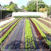 China Anti Grass 20ft HDPE Plastic Weed Mat 3.2oz Weed Barrier Ground Cover for sale