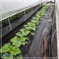 China PP Woven 4mm Plastic Landscape Fabric HDPE Anti Weed Gardening Mat for sale