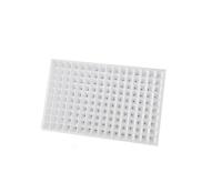China 160 Holes Floating EPS EPP Foam Board For Growing White Seedling Vegetables for sale