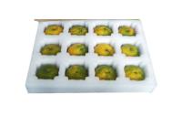 China Logistics Packaging EPE Pearl Cotton Fruit Carrier Shockproof Anti Fall Foam Filled for sale