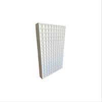 China EPS50 160 120 200 242 Seedling Tray Foam Floating Nursery Tray for sale