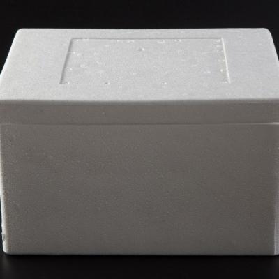 China EPP EPS Incubator Refrigerated Fresh Food Transport Incubator for sale