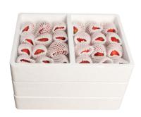 China Winter Strawberry Foambox Express Special Fruit Packaging Gift Box Loquat Small Tomato Cherry Tomatoes Fresh-keeping Box for sale