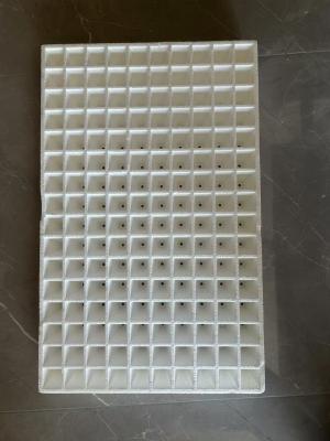 China Foam seedling tray tray Vegetable seedling tray hydroponic tray tray White foam traypepper seedling tray wholesale floating foam board water planting seedling tray thickened fruit and vegetable pepper for sale