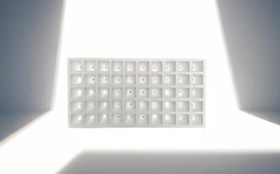 China EPS Suspended Foam Seedling Tray Customized Heat Preservation Seedling Tray for sale