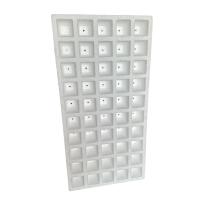 China Seedling raising of vegetables (such as tomatoes and peppers), flowers, herbs and other crops in foam seedling tray for sale