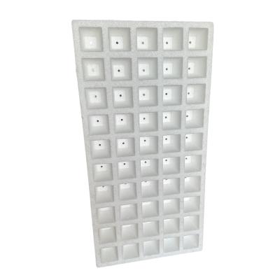 China Seedling raising of vegetables (such as tomatoes and peppers), flowers, herbs and other crops in foam seedling tray for sale