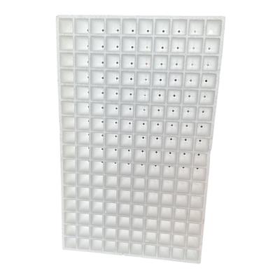 China EPS Foam Seedling Tray Customized For Vegetable Melon And Fruit Seedling for sale