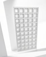 China EPS Foam Seedling Tray 50 Points 120 Points 160 Points 200 Points Customized Wholesale Of Fruits Vegetables And Flowers for sale