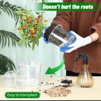 China Transparent Phalaenopsis Flower Pot Transparent Orchid Pot for sale