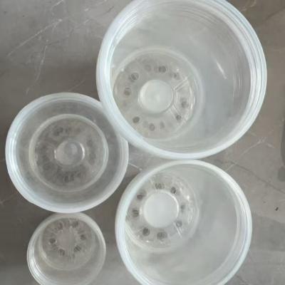 China Transparent Orchid Pot With UV Resistant Coating for sale