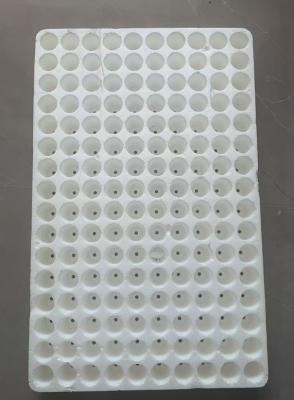 China 160-cell round seedling tray, sowing tray, floating seedling tray for sale