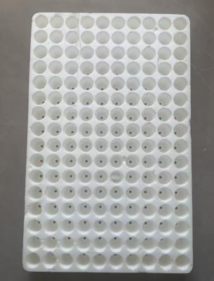 China 160-cell round  sowing tray, floating seedling tray for sale