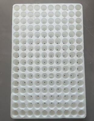 China 160-cell round floating seedling tray for sale