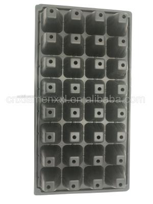 China 2mm thick 32-cell Plastic Seedling Tray for Forest Trees - Aging Resistant and Durable for sale