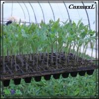 China 2mm thick 32  50  98  108  118  200-cell Plastic Seedling Tray for Forest Trees - Aging Resistant and Durable for sale