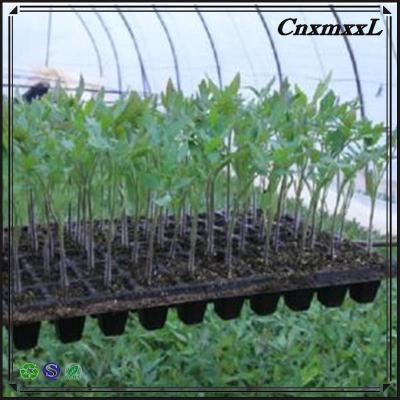 China 2mm thick 32  50  98  108  118  200-cell Plastic Seedling Tray for Forest Trees - Aging Resistant and Durable for sale