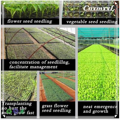 China 32, 50, 98, 108, 118, 158, 200 Seedling trays, seedling trays, seedling holders for sale