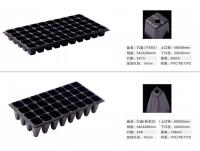 China 2mm Thick 200-Cell Plastic Seedling Tray - Aging Resistant and Durable for Forest Trees for sale