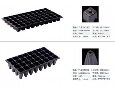 China 2mm Thick 200-Cell Plastic Seedling Tray - Aging Resistant and Durable for Forest Trees for sale