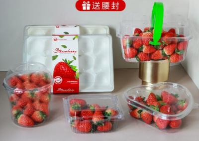 China Customizable Recyclable PET Fruit Packaging Box with Heat Sealing for Tomatoes and Produce for sale
