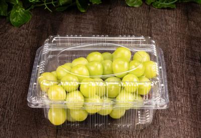 China Customized PET Plastic Blister Packaging Box with Heat Sealing and Recyclable Material for Fruit and Medicine for sale